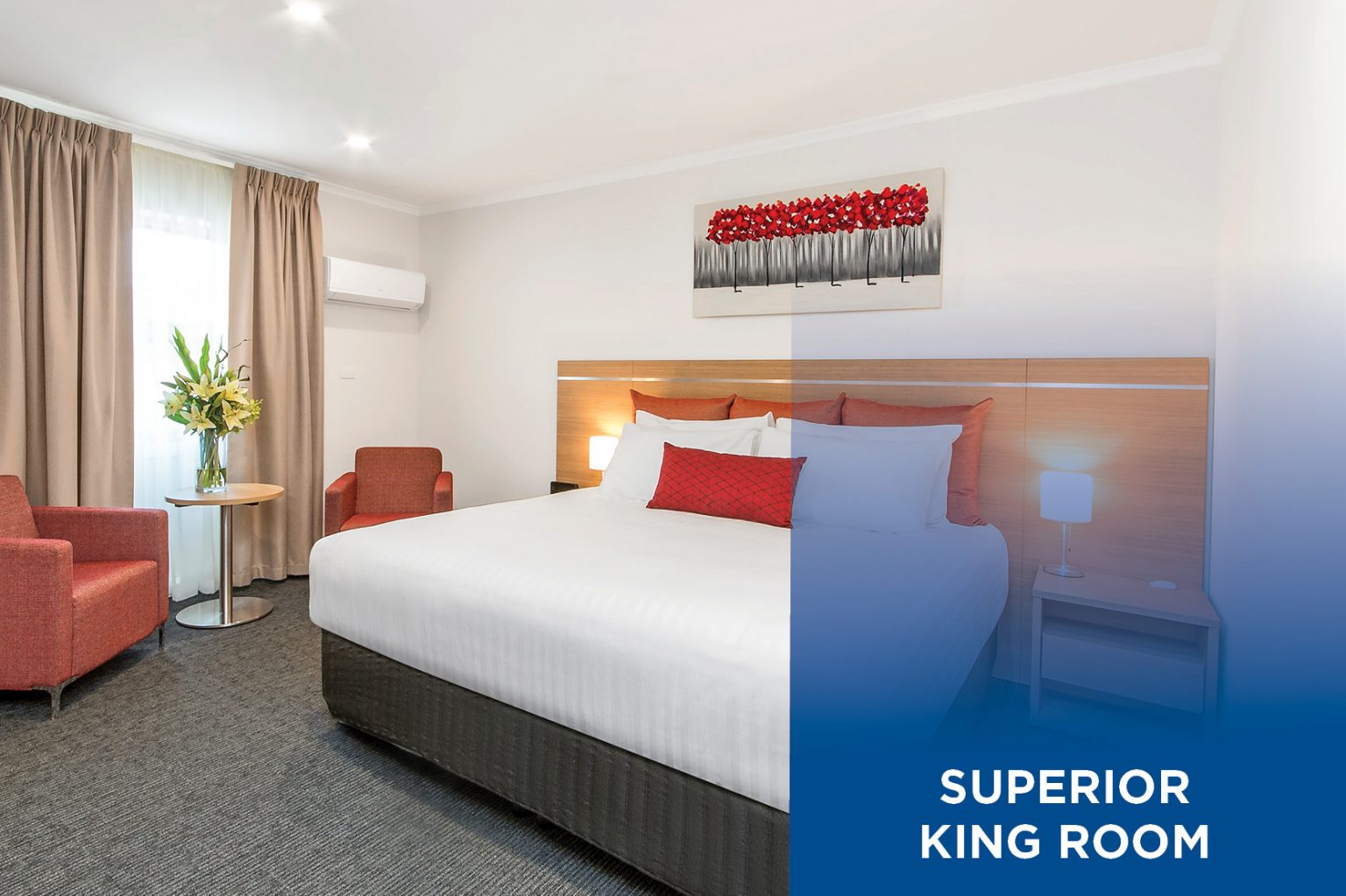 Adelaide Accommodation - Adelaide Royal Coach